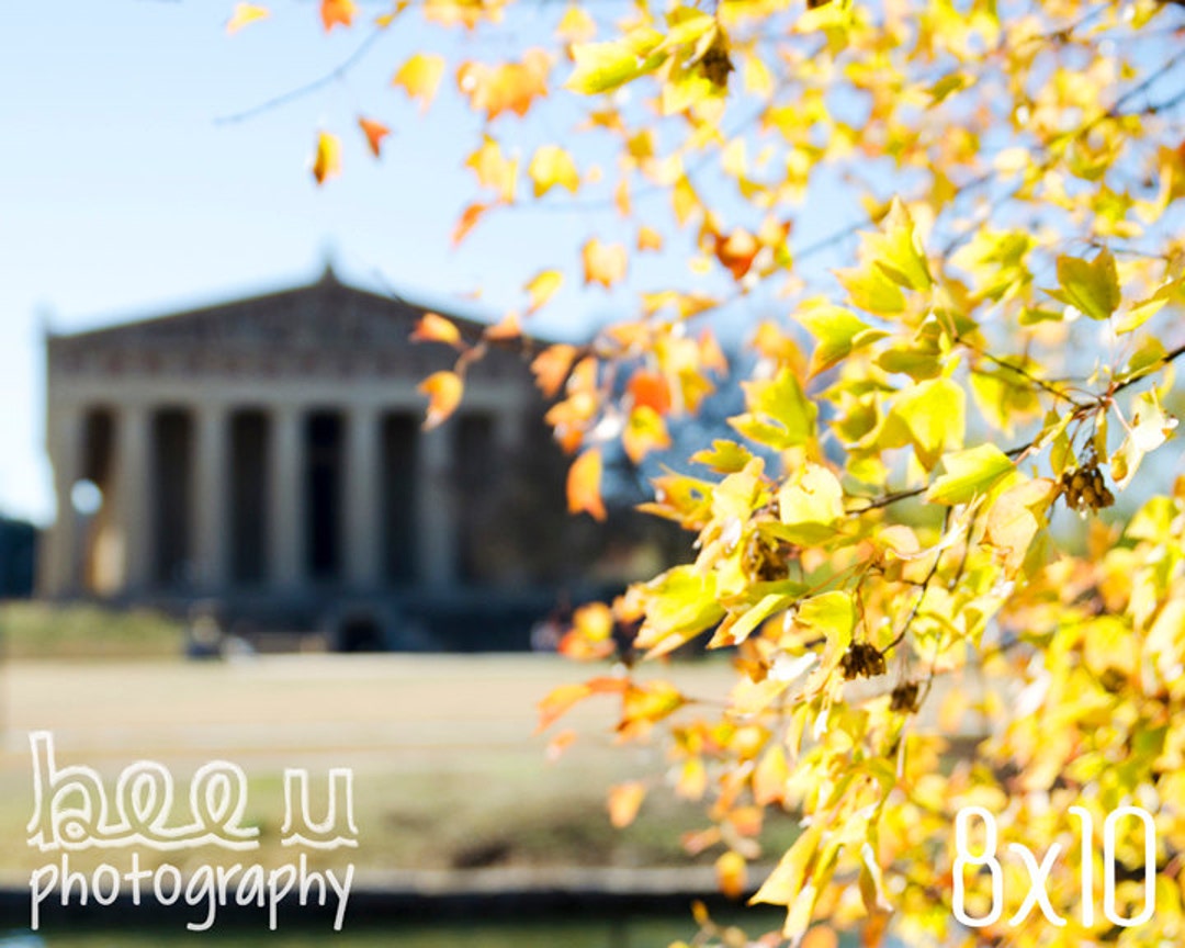 The Parthenon, Landscape, Urban Photography, Night, Architecture, Fine ...