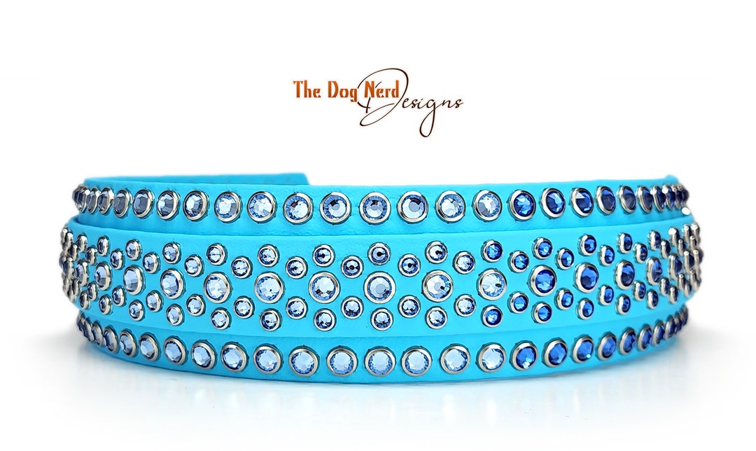 19.5-22.5 Sapphire Gradient on Light Blue Beta Biothane With Custom Big ...