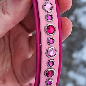 9.5-12.5 Pink Gradient on Pastel Pink Biothane With Magenta Border ...