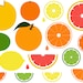 Citrus Fruit Digital Clipart-lemon-lime-grapefruit-orange-fruit Slice ...