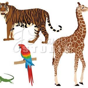 Digital Clipart-zoo Animals-tiger-lion-panda-parrot-tucan-elephant ...