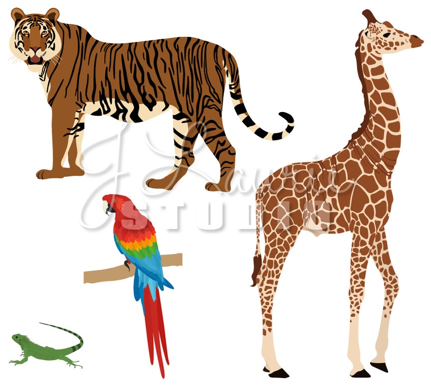 Digital Clipart-zoo - Etsy