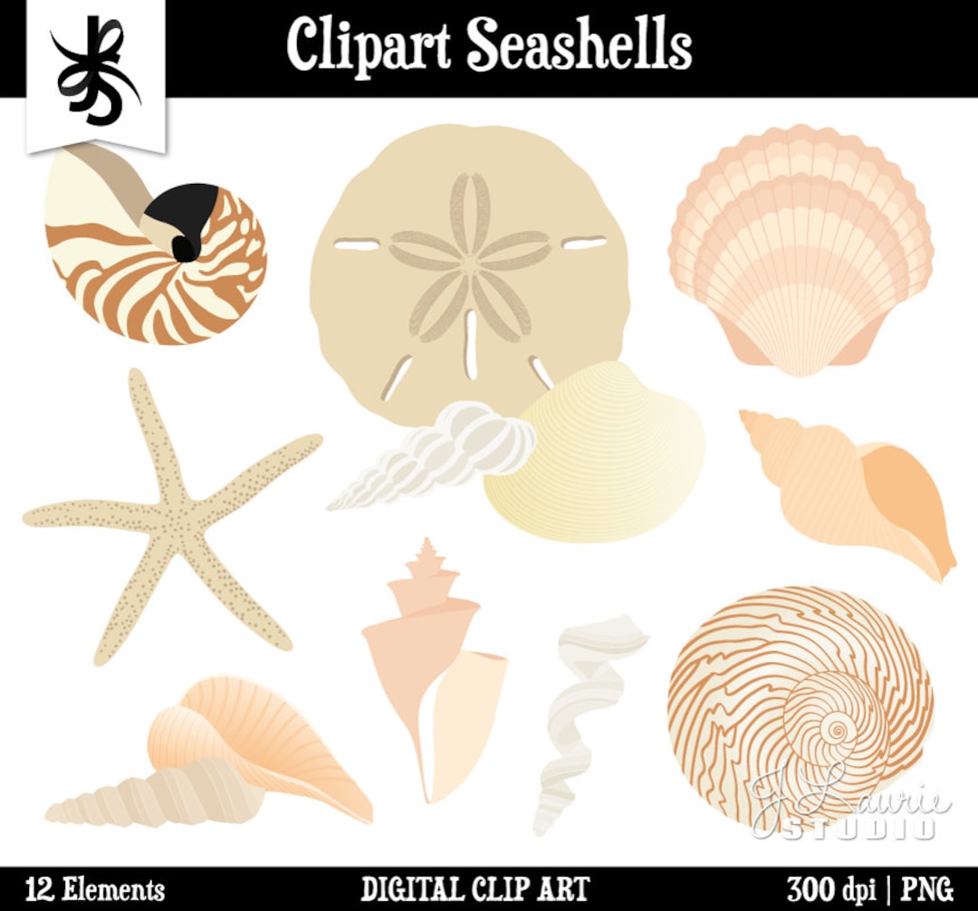 Seashells Digital Clipart-nautical-ocean-beach-seashell-starfish-sand ...