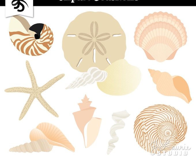 Seashells Digital - Etsy