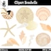 Seashells Digital Clipart-nautical-ocean-beach-seashell-starfish-sand ...