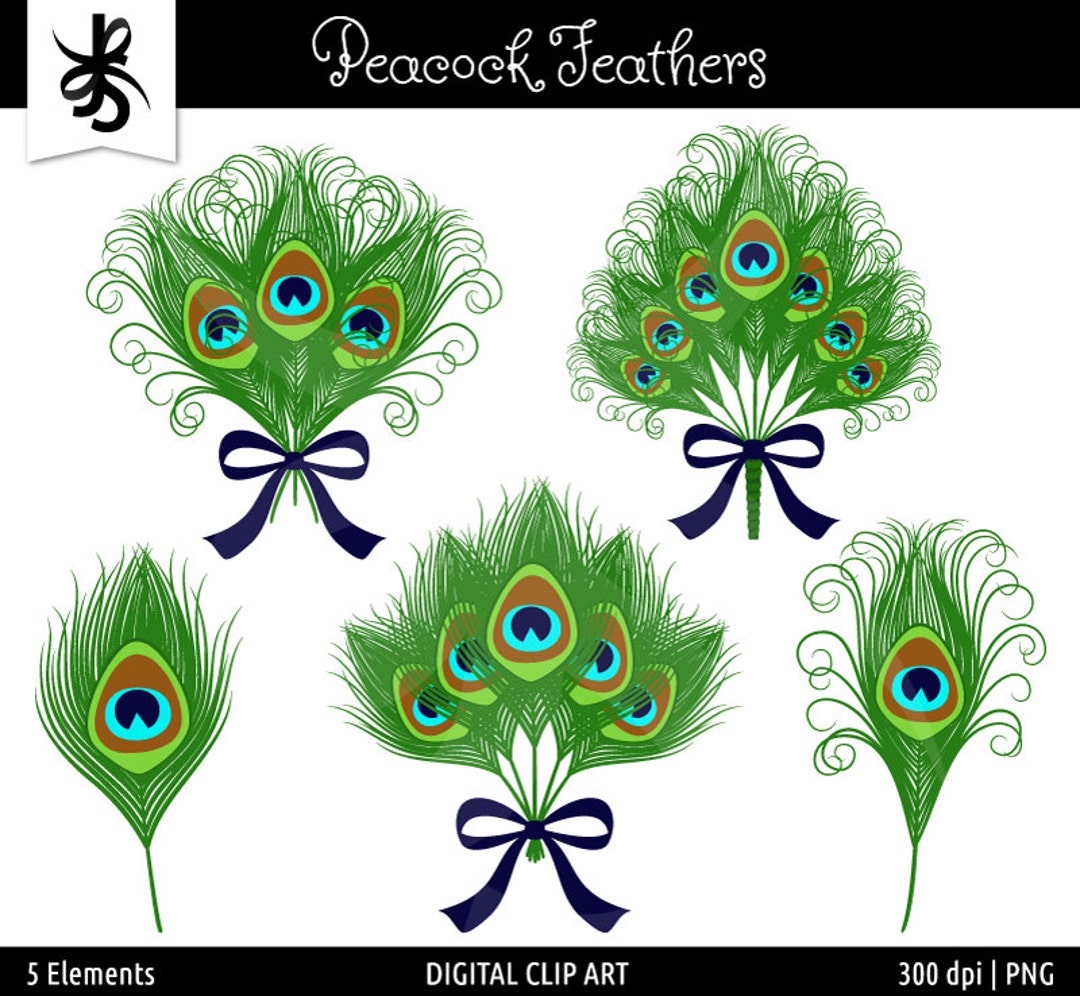 Peacock Feathrs-digital Clipart-feather Fans-peaock Clipart-clipart ...