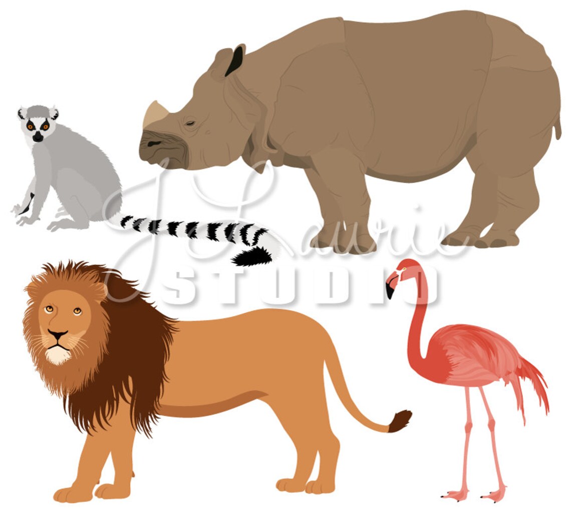 Digital Clipart-zoo Animals-tiger-lion-panda-parrot-tucan-elephant ...