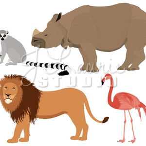 Digital Clipart-zoo Animals-tiger-lion-panda-parrot-tucan-elephant ...