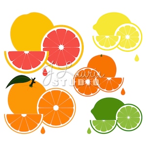 Citrus Fruit Digital Clipart-lemon-lime-grapefruit-orange-fruit Slice ...