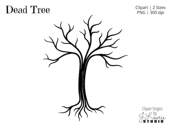 Dead Tree Silhouette With Roots