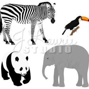 Digital Clipart-zoo Animals-tiger-lion-panda-parrot-tucan-elephant ...