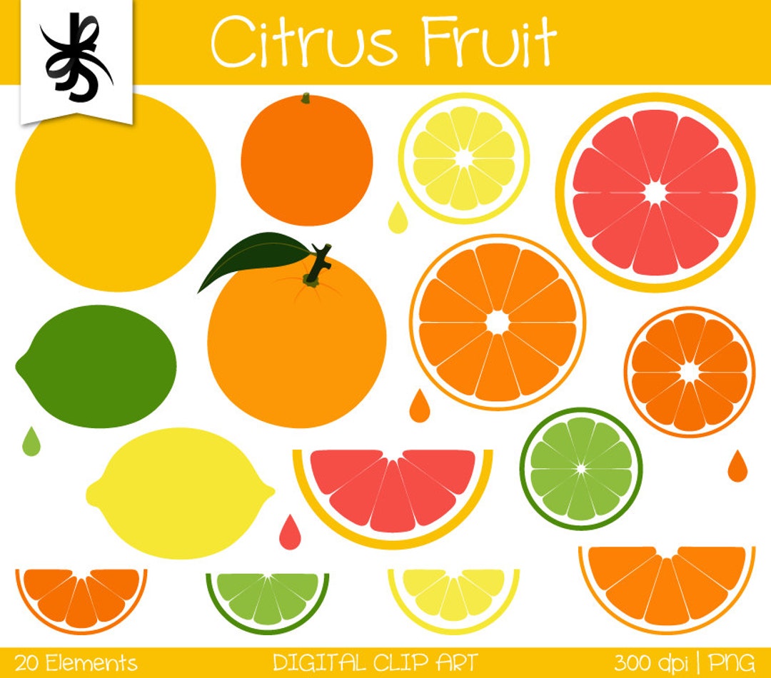 Citrus Fruit Digital Clipart-lemon-lime-grapefruit-orange-fruit Slice ...
