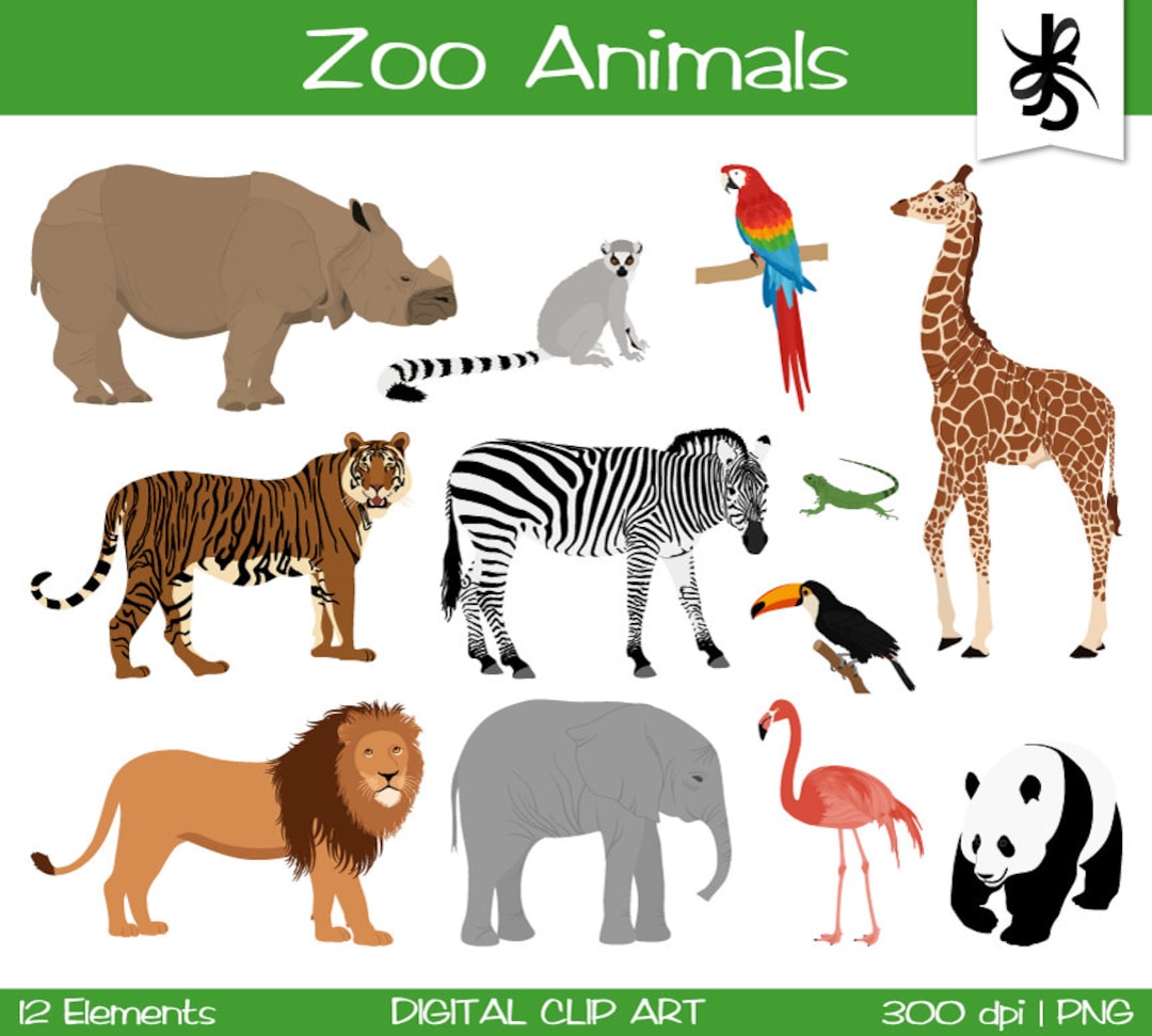 Digital Clipart-zoo Animals-tiger-lion-panda-parrot-tucan-elephant ...
