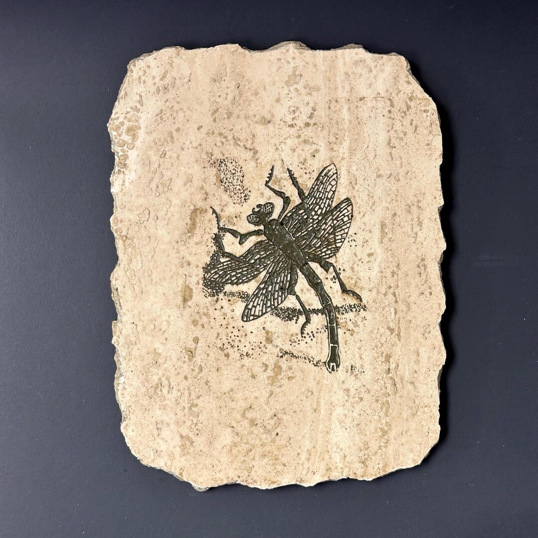 Rodney Winfield Carved Dragonfly in Marble or Travertine Tile Cream ...