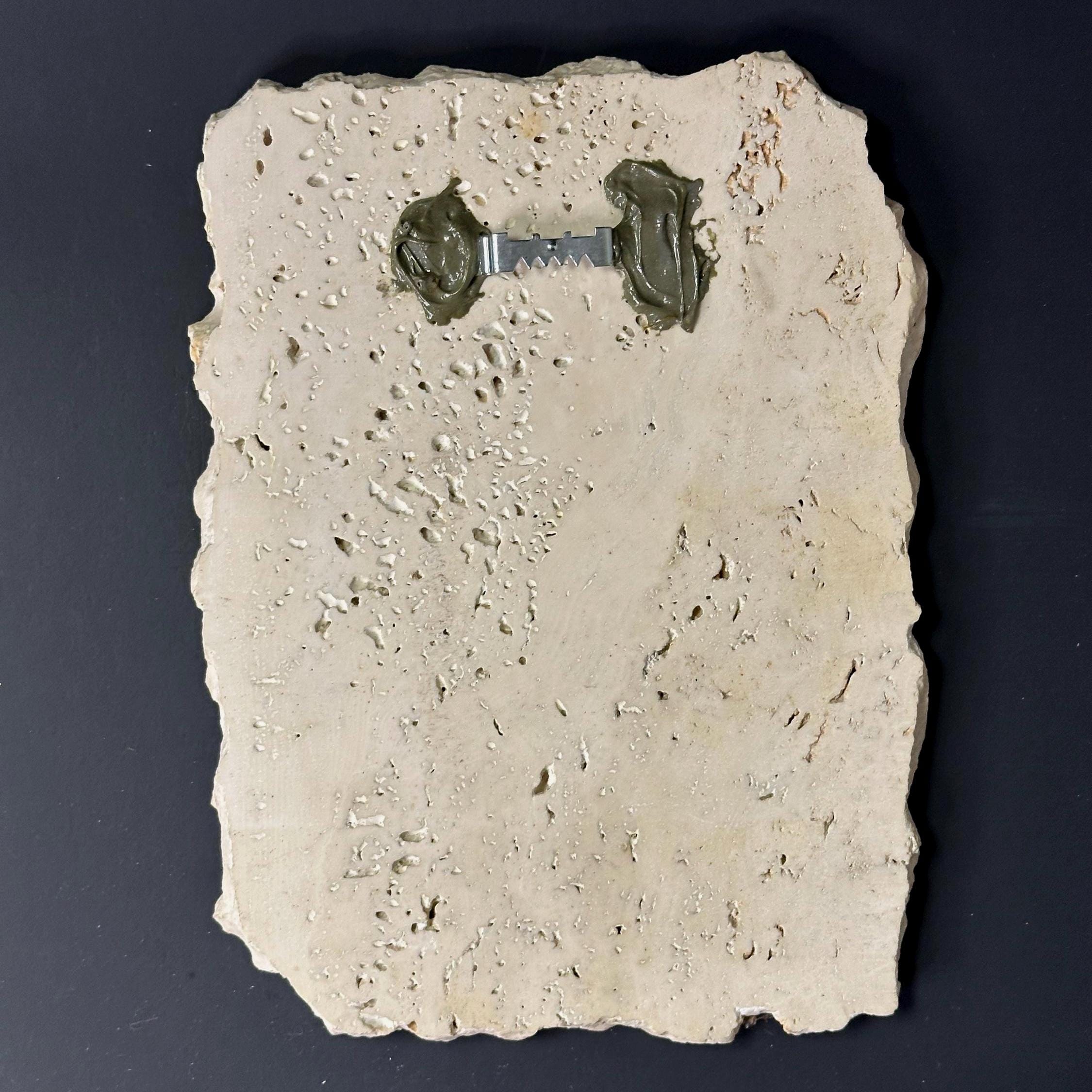 Rodney Winfield Etched/carved Marble or Travertine Tile Cream Stone ...