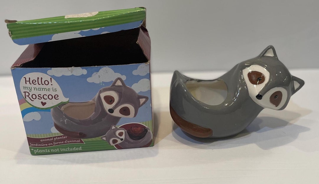 Super Cute Roscoe the Raccoon Planter "new" in Box - Etsy