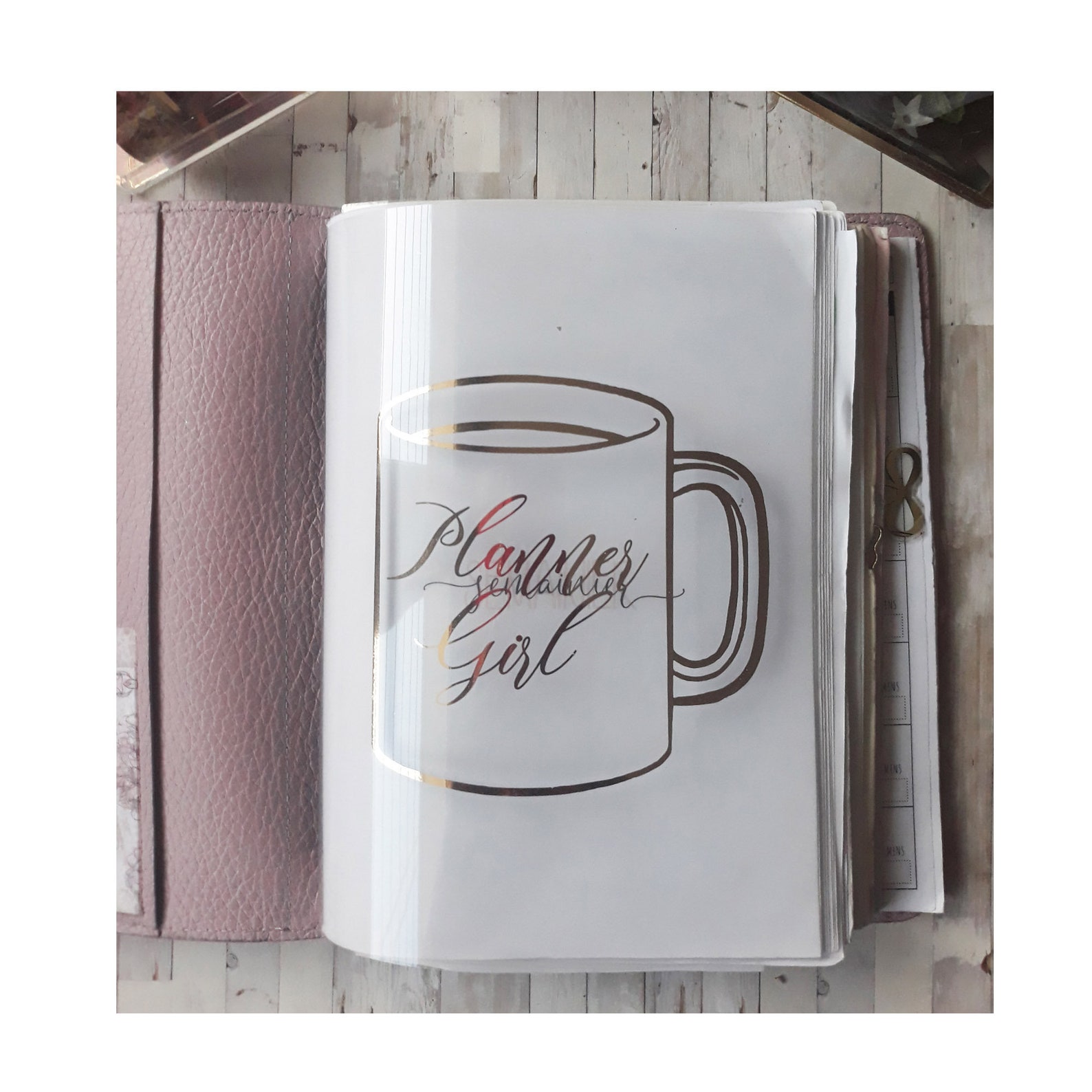 ACETATE Planner Girl Mug Planner Dashboard for Travellers - Etsy