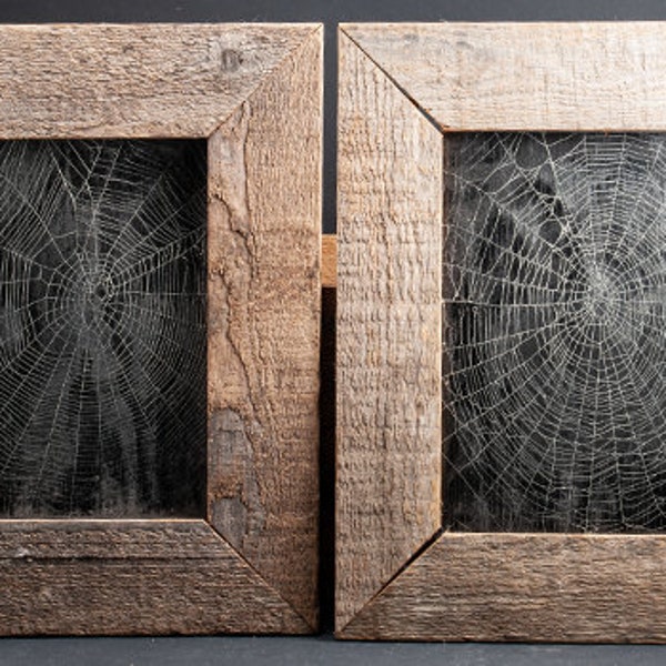 Framed Spider Web - Etsy