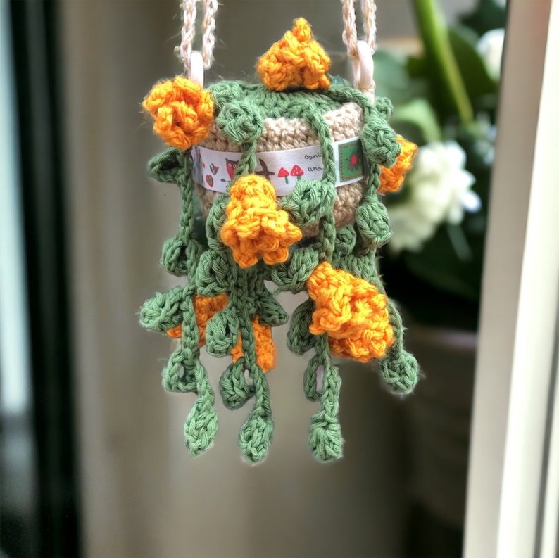 Pattern-hanging Plant Crochet Pattern-images Tutorial and Video Support ...