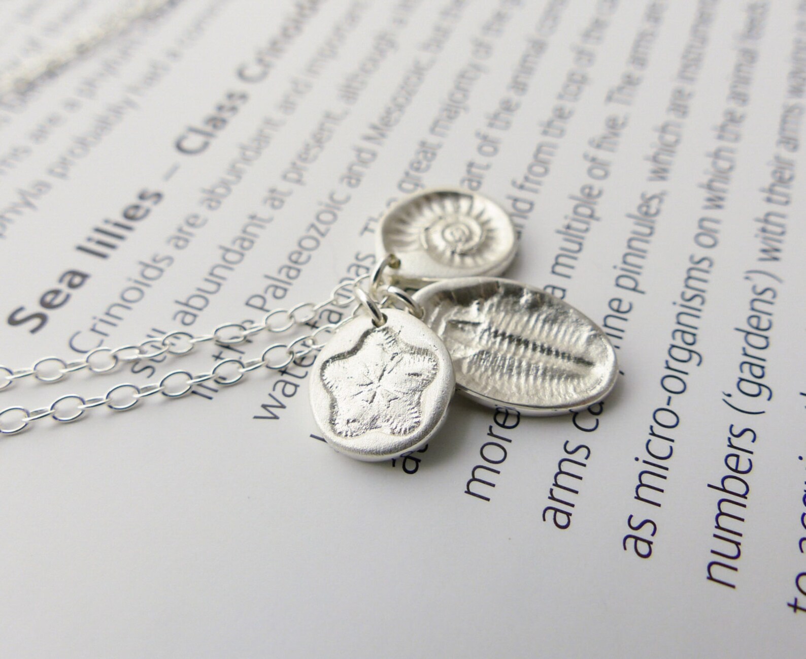 Fossil Necklace - Science Gift - Cluster Necklace - Silver Ammonite ...