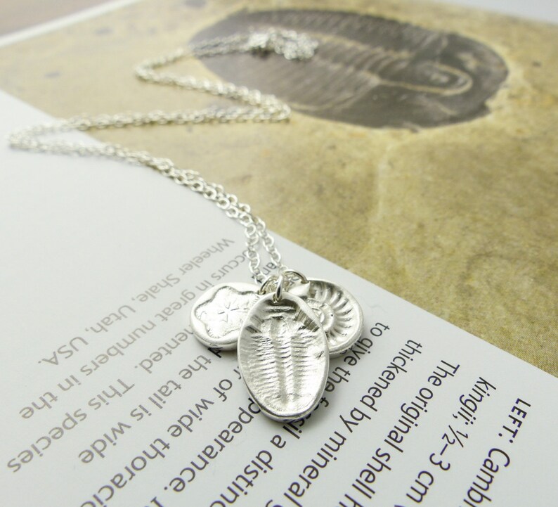 Fossil Necklace - Science Gift - Cluster Necklace - Silver Ammonite ...