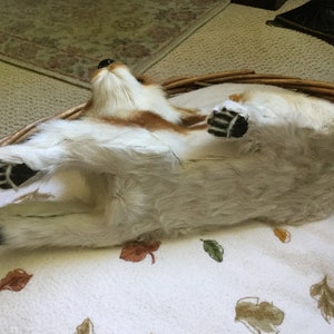 12"x 5" Vintage Rabbit Fur Covered Dog Decoration/display - Etsy