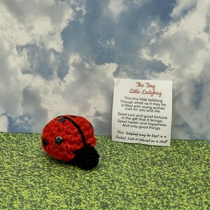 Amigurumi, Crochet, Lucky Pocket Ladybug, Tiny Little Lady Bug, Easter ...