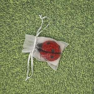 Amigurumi, Crochet, Lucky Pocket Ladybug, Tiny Little Lady Bug, Easter ...