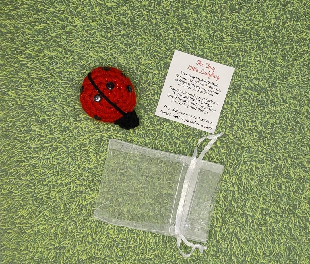 Amigurumi, Crochet, Lucky Pocket Ladybug, Tiny Little Lady Bug, Easter ...