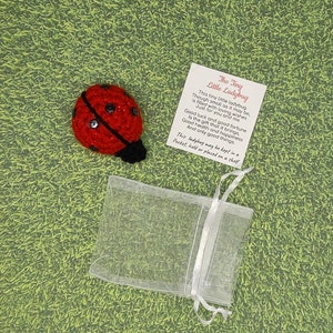 Amigurumi, Crochet, Lucky Pocket Ladybug, Tiny Little Lady Bug, Easter ...