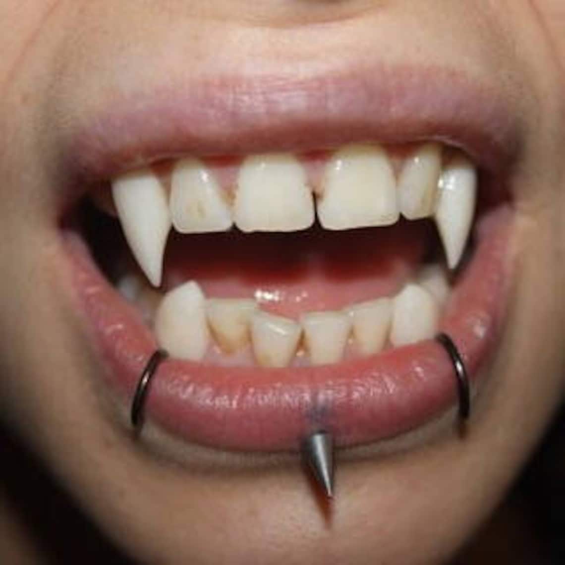 Classic Wolf Fangs please Read Item Description - Etsy