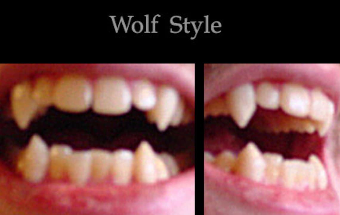 Classic Wolf Fangs please Read Item Description - Etsy