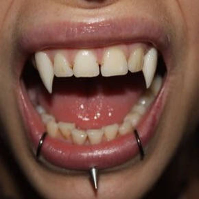 Traditional Fangs please Read Item Description - Etsy