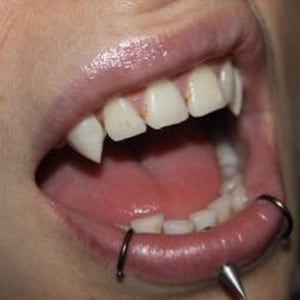 Traditional Fangs (please Read Item Description!) - Etsy