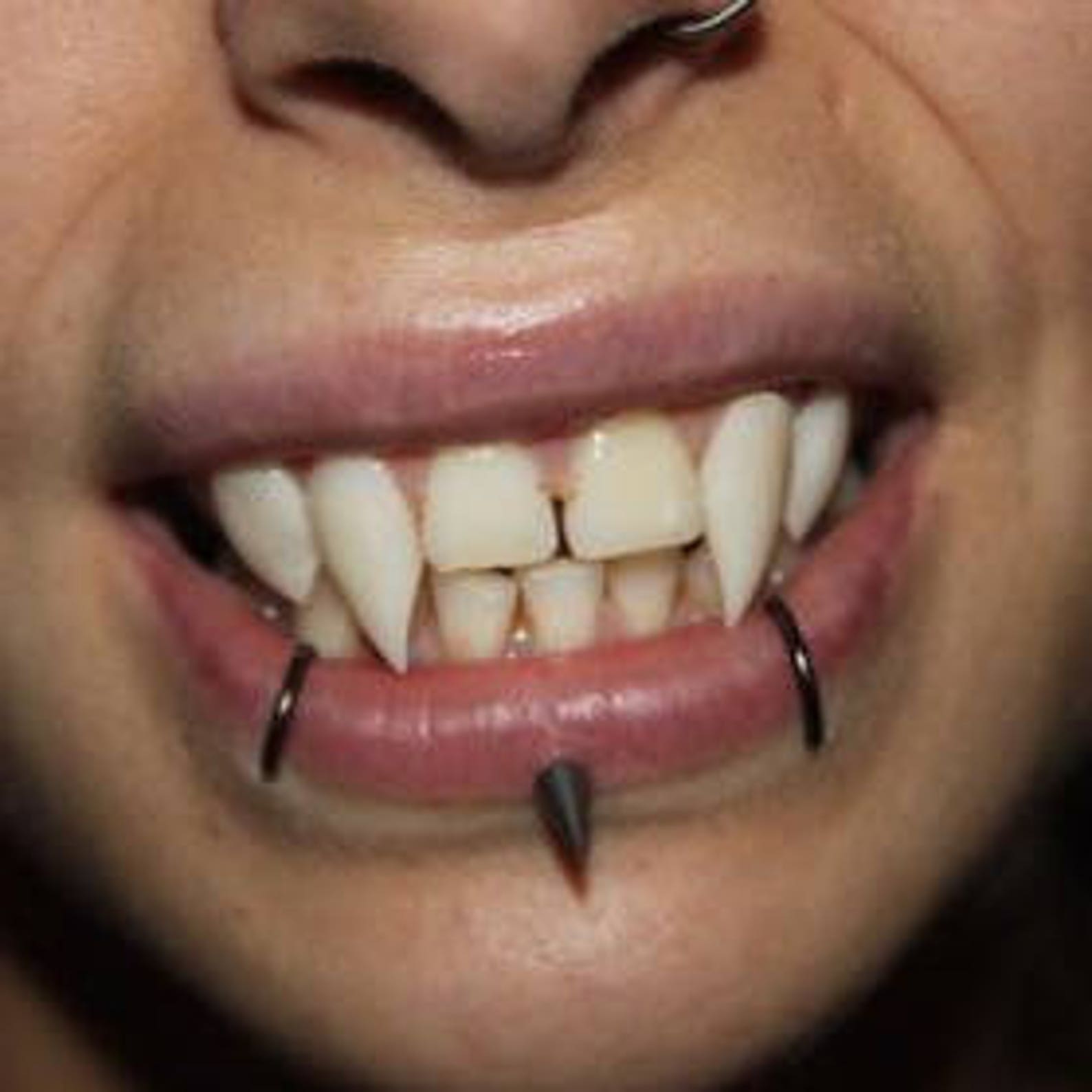 Lost Boys Fangs please Read Item Description - Etsy