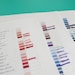 Printable DMC Color Chart (PDF Download) - Etsy
