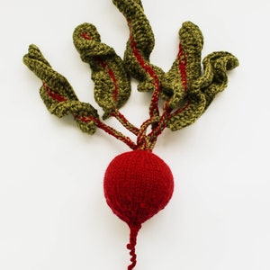 Pretend Play Beetroot - Vegetables Toy Food - Baby Soft Toys Red Beet ...