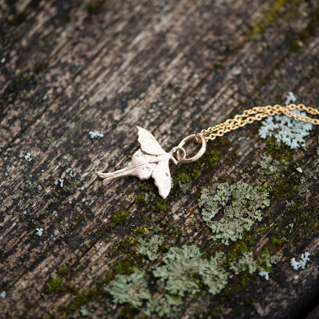 Custom 14k Yellow Gold Luna Moth Pendant Charm Necklace, Tiny Dainty ...