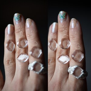 Fern and Leaf Ring in 925 Sterling Silver, and a Himalayan Quarts ...