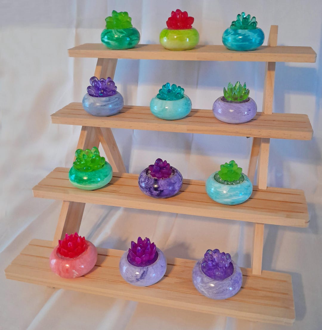 Ceramic Resin Pots, Resin Succulents Included, Choose a Color Scheme ...