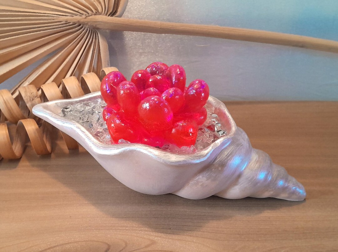 Sea Snail Shell, Succulent Display, Resin Plaster, Gift, Guest, Luxury ...