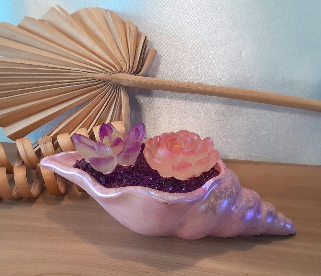 Sea Snail Shell, Succulent Display, Resin Plaster, Gift, Guest, Luxury ...