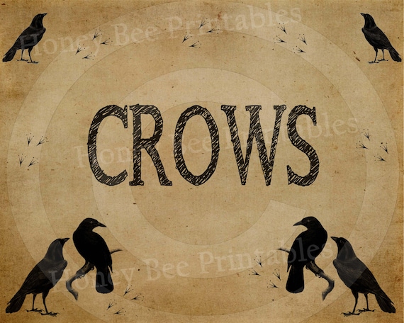 Clipart De Corbeau Primitif 9 000+ Corbeaux Stock Illustrations,