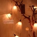 Asian Oriental Sakura Cherry Blossom Tree Japanese Lamp Zen Bedside ...