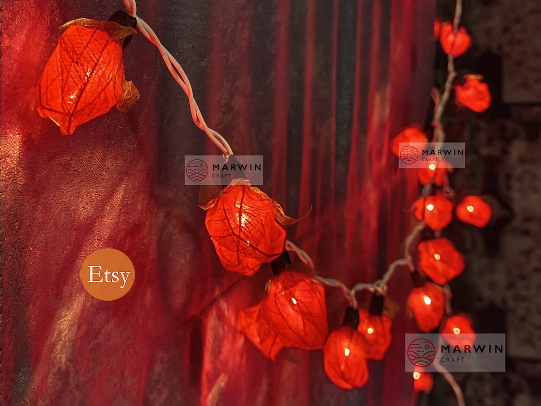 35 Red String Lights Rose Flower Fairy Lights Bedroom Home Decor Living ...