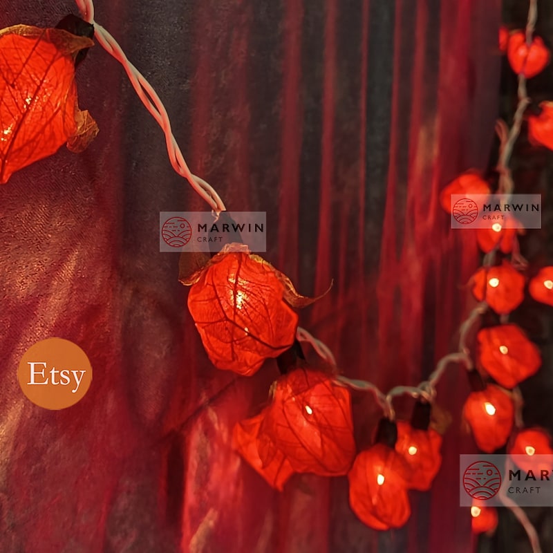 Rose String Lights - Etsy