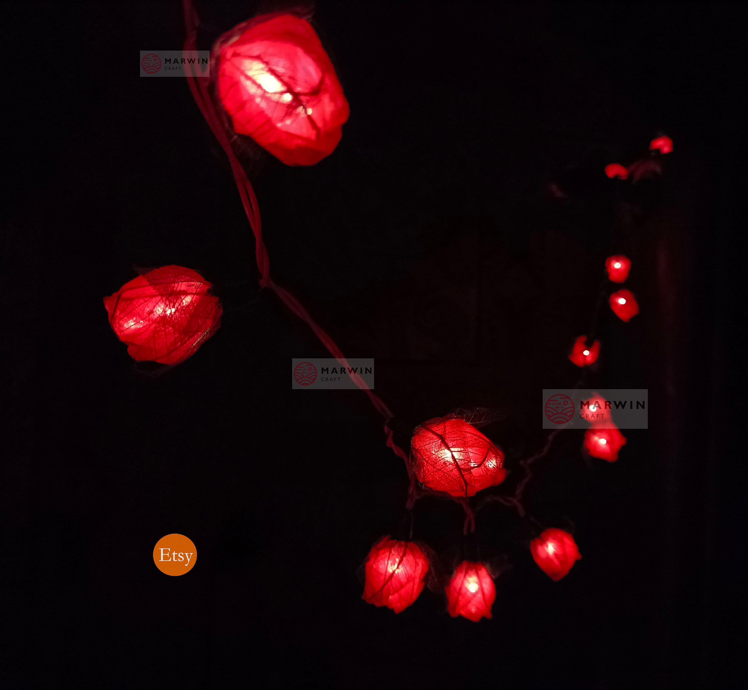 35 Red String Lights Rose Flower Fairy Lights Bedroom Home | Etsy