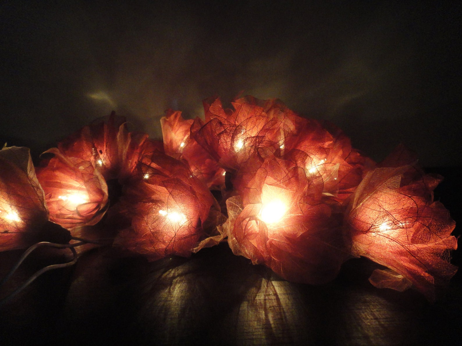 20 Brown Carnation String Lights Flower Fairy Lights Bedroom Home Decor ...