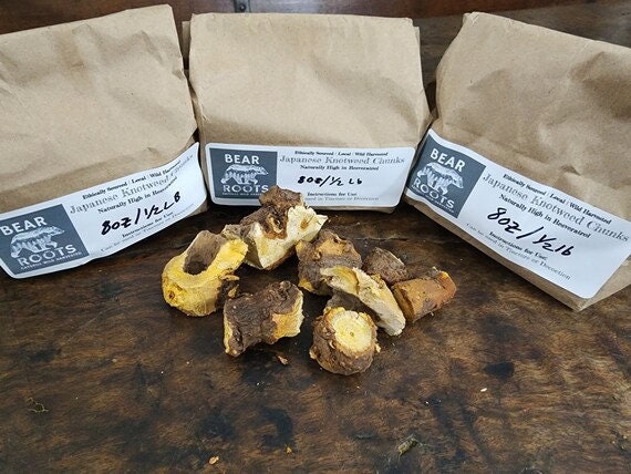 Japanese Knotweed Is Knotweed Invasive Or Is It Itadori, 60% OFF