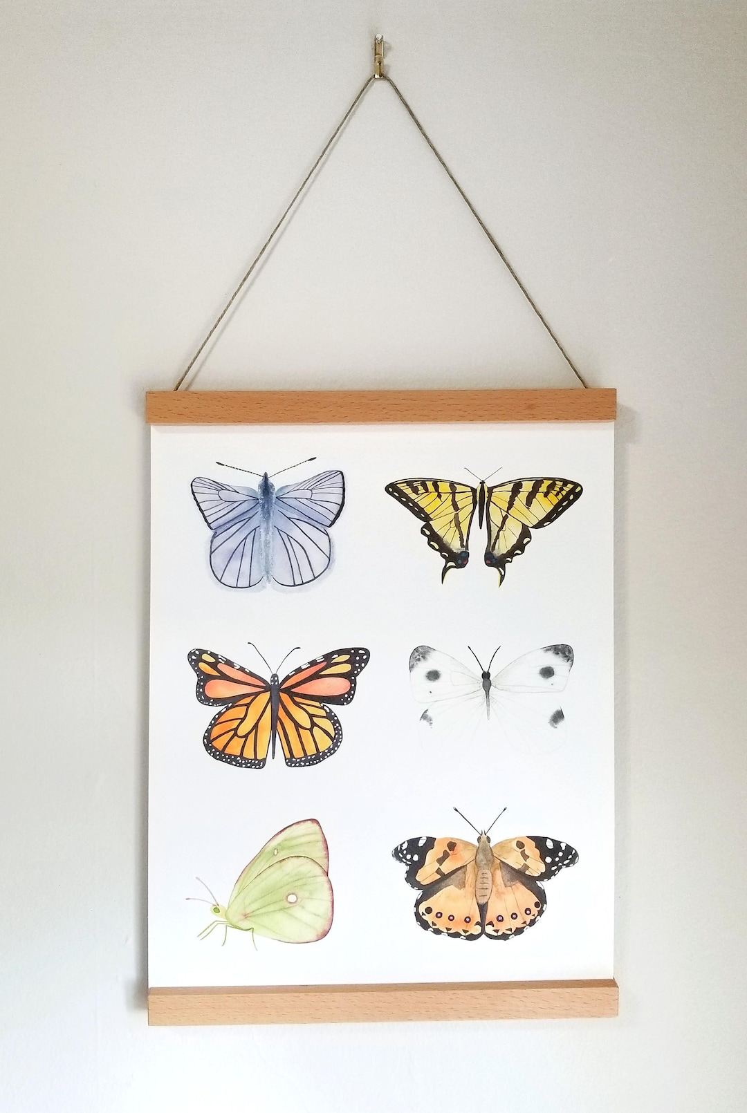 PNW Butterflies - Watercolor Art PRINT - Multiple Sizes - Etsy